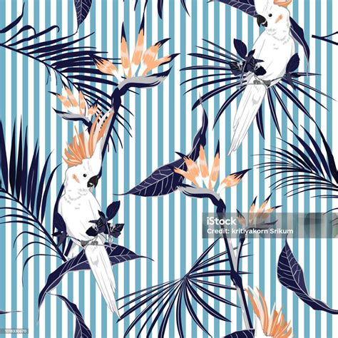 여름 열 대 정글 Saemless 패턴 벡터에 맞는 패션 섬유 및 모든 지문에 대 한 화이트 잉 꼬 새와 나뭇잎 0명에 대한 스톡 벡터 아트 및 기타 이미지 Istock