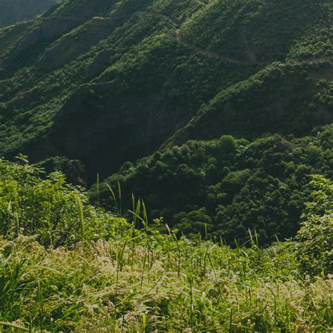 사이버 세대 디지털로 소통하는 새로운 인간 유형 등장 네이버 블로그