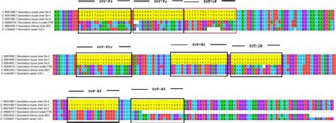Figure 2 From A Colorimetric Hydroxy Naphthol Blue Based Loop Mediated Isothermal Amplification