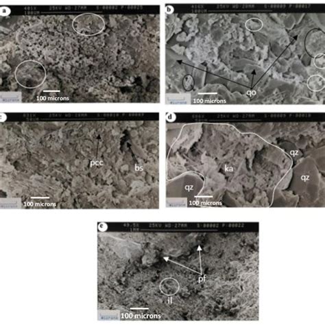 Sem Photomicrograph Showing The Main Diagenetic Processes In The Download Scientific Diagram