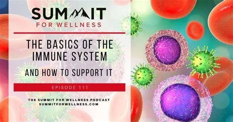 The Basics Of The Immune System And How To Support It Summit For Wellness