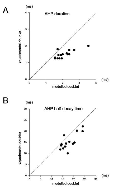 comparison between modeled and experimental values of ap duration a