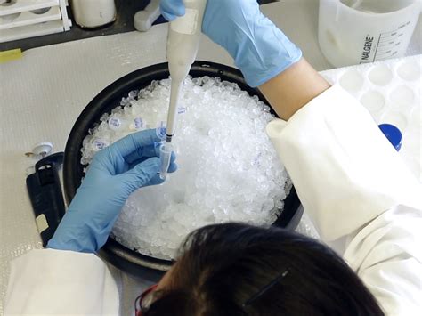 Video In Vitro Aggregation Assays Using Hyperphosphorylated Tau Protein