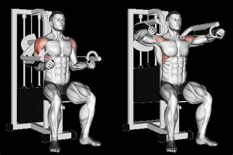 Machine Lateral Raise Guide Muscles Worked Tips Athlemove