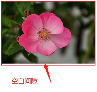 CSS display 属性背景属性其他常用属性 arry老师的博客 艾编程