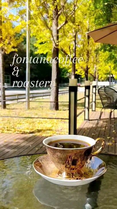 대구폰타나커피로스터리 원두납품 카페창업컨설팅 커피교육 오늘부터 매일 오세요~ 매장앞은 단풍이 절정입니당😍😍 🏡 대구 달성군 가창면 가창로 737대림생수 내