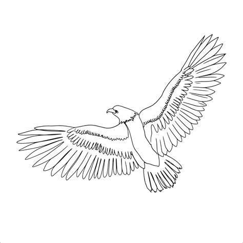 Line Drawing Eagle At Russell Erik Blog