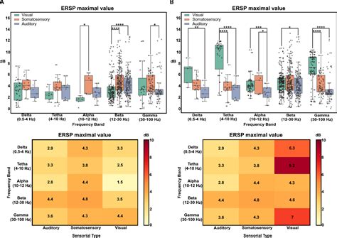 Beyond Vision Response Of The Mouse Visual Cortex To Multimodal Stimulation