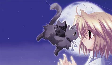 Download Nice Anime Girl Flying Cat Wallpaper