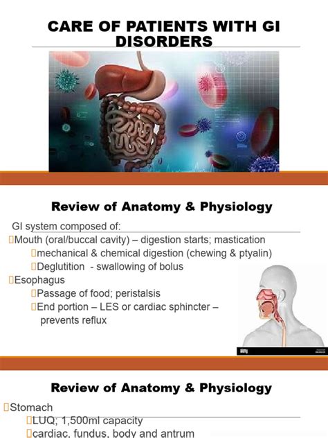 1 Review Of Anatomy And Physiology Of The Git Pdf Stomach Digestion