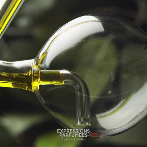 [video] Jennifer Buzzi On Linkedin Conscious Index A New Environmental And Societal Perspective