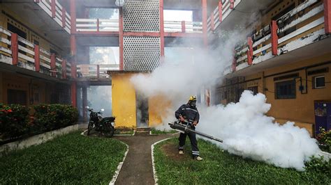 世衛專家提醒防範基孔肯雅熱暴發 新浪香港