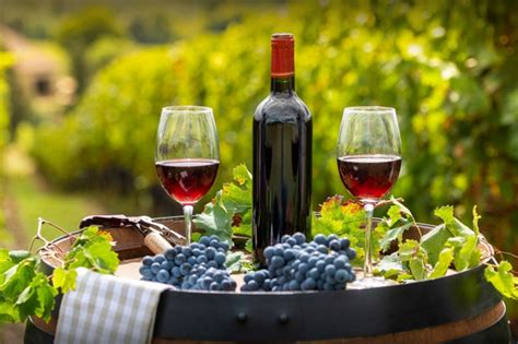 ქართული ქვევრის ღვინო მსოფლიოში საუკეთესო ღვინოების ათეულშია Bpn