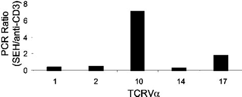 Normalized Ratio After Real Time Rt Pcr Analyses For Tcrv1 2 10 14 Download Scientific