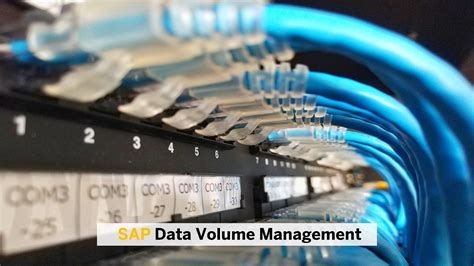 Sap Data Volume Management Application Thsug