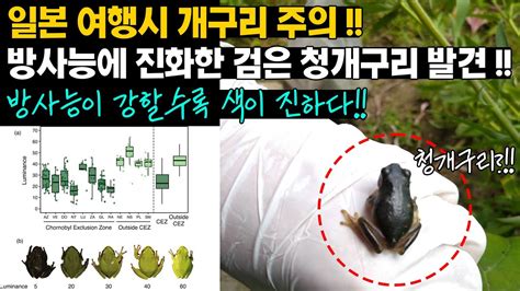 일본 여행시 개구리 주의 Youtube