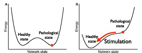 Figure 1 From Stdp In Oscillatory Recurrent Networks Theoretical