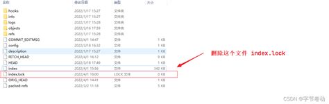 【git学习】解决git提交代码时报错： Unable to create ‘XXX/.git/index.lock‘: File exists._index.lock': file ...