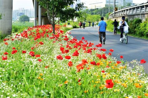 노원구 걷기실천율 3년 연속 1위 달성 비결 아시아경제
