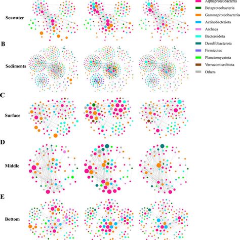 Co Occurrence Networks Of Microbiomes In The East China Sea The Download Scientific Diagram