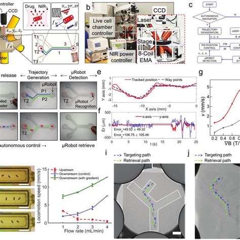Drug Content Of Nanogel Formulations Download Table