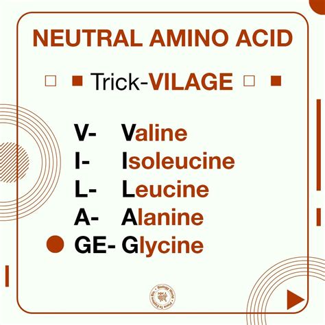 Neutral Amino Acids Amino Acids Biology Neutral
