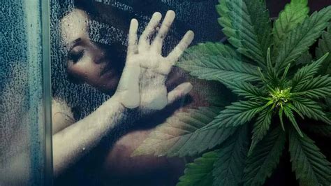 Five Reasons Why Sex Is Better On Weed Ministry Of Cannabis