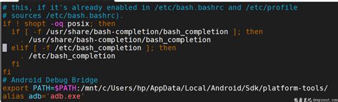 WSL 中使用adb 极客笔记