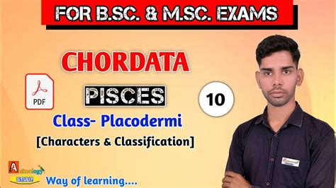 Chordata Superclass Pisces Class Placodermi Characters And