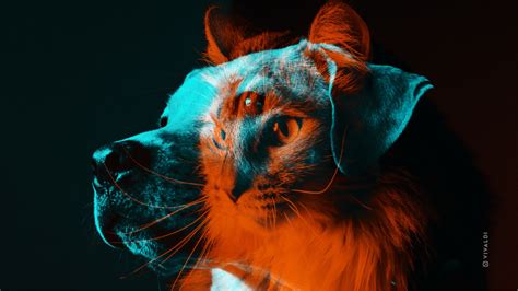 Client Hints Or Client Lies Vivaldi Browser