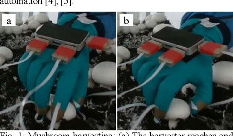 Figure 1 From Visual Imitation Learning For Robotic Fresh Mushroom Harvesting Semantic Scholar