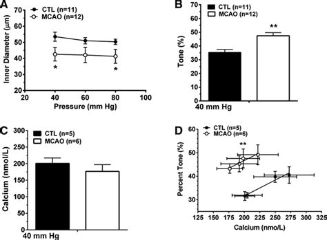 Postischemic Reperfusion Causes Smooth Muscle Calcium Sensitization And