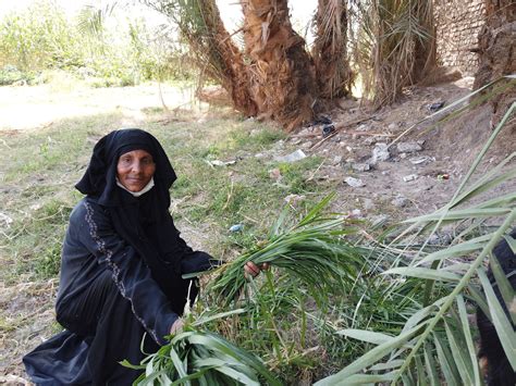 Updated Gender Guidance Document For Implementing Entities On Compliance With The Adaptation