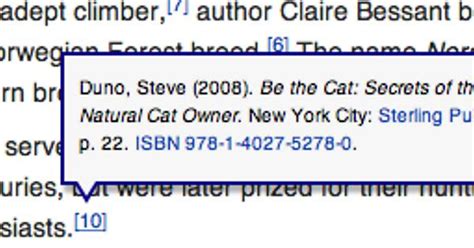 Cat Enthusiasts Be The Cat Imgur