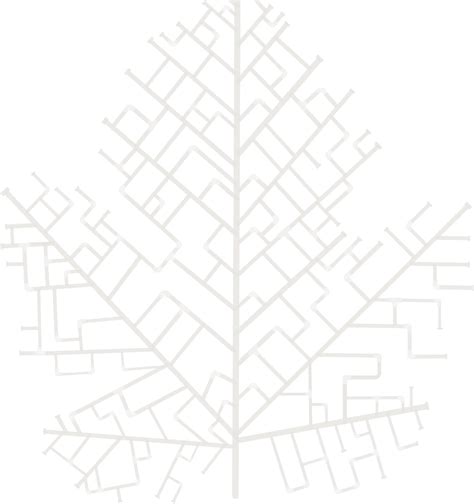 Water Leak Detection Flowless