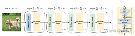 biformer实战：使用biformer实现图像分类任务（一） 知乎