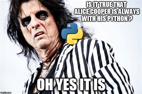 Python Memes And S Imgflip