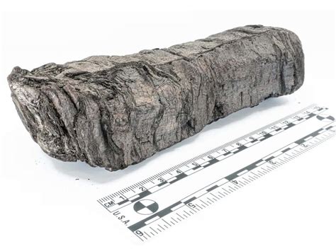 Ai Reveals First Look Inside 2 000 Year Old Herculaneum Scroll Archaeology News Online Magazine