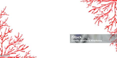 산호 모서리 요소가 있는 직사각형 프레임 수중 세계를 주제로 한 고립 된 일러스트레이션은 섬유 디자인 해양 테마 휴일 인쇄 레스토랑을 위해 0명에 대한 스톡 벡터 아트 및