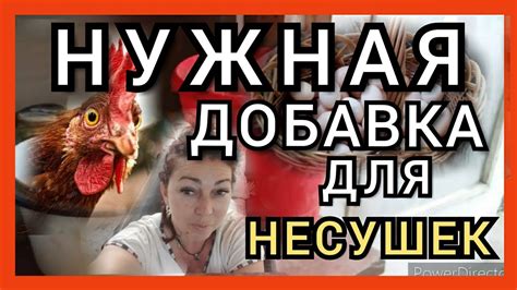 Куры не Несутся?/ Отруби для Кур!//Нужная Добавка в Мешанку для Кур ...