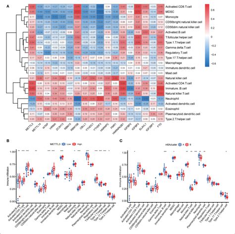Single Sample Gene Set Enrichment Analysis A Correlation Between Download Scientific