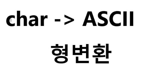 C 문자를 아스키 코드로 형변환 하는법 매일개발자