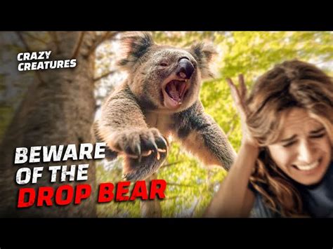 Drop Bear Sign