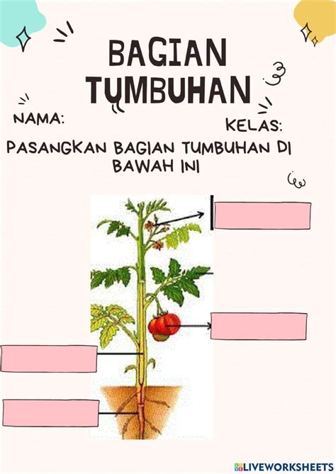 Dragdrop Exercise Live Worksheets