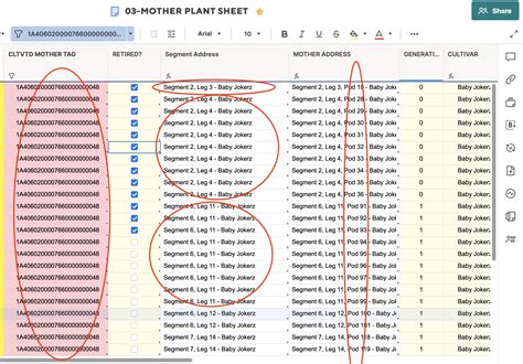 Cross Sheet Formula Check The Box In One Sheet When All Boxes Are