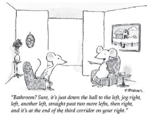 Unit Learning Biology Cognition And Learning Mod Flashcards Quizlet Unit Learning Biology Cognition And Learning Mod Flashcards Quizlet