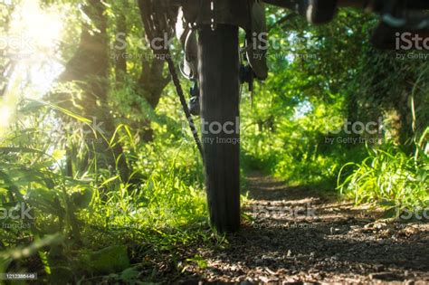 아래에서 볼 수있는 경로에 산악 자전거의 뒷 바퀴의 패스 0명에 대한 스톡 사진 및 기타 이미지 0명 건강한 생활방식 경관 Istock