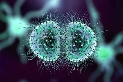 Foreign Office Health Alert To Brits Returning From Abroad Over Serious