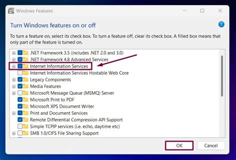 How To Enable Iis Management Service In Windows 11