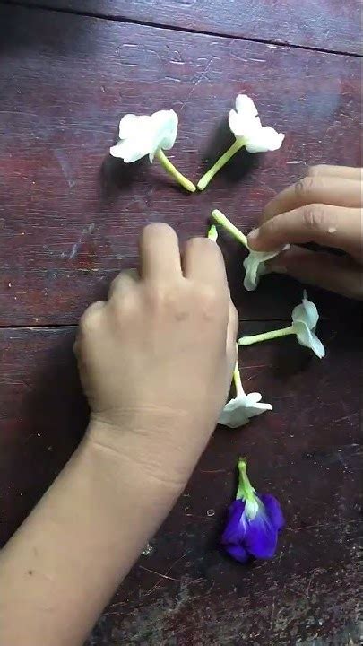 Humen Make Flower 🌸 U Tube Shorts Short Video Youtube